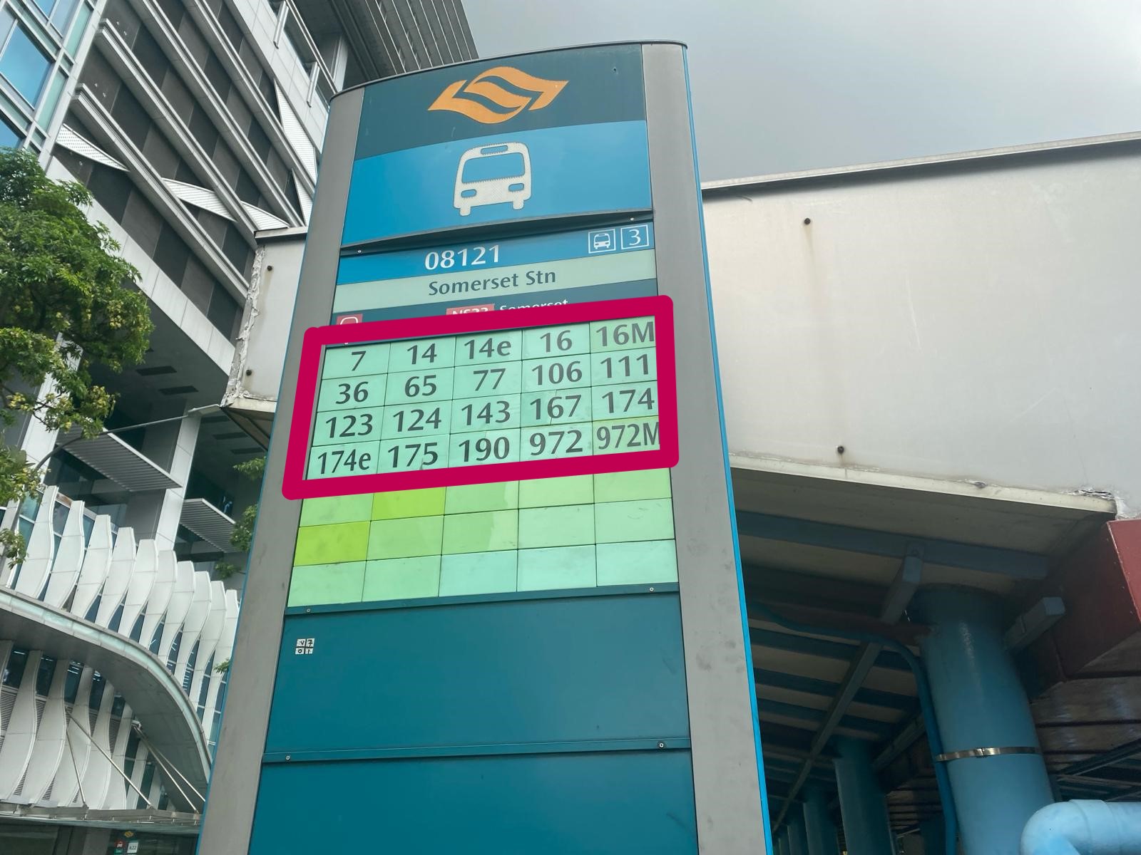 【在住者が教える】シンガポール観光必須！バスの乗り方とおすすめアプリ - あやパパの子育て冒険記！